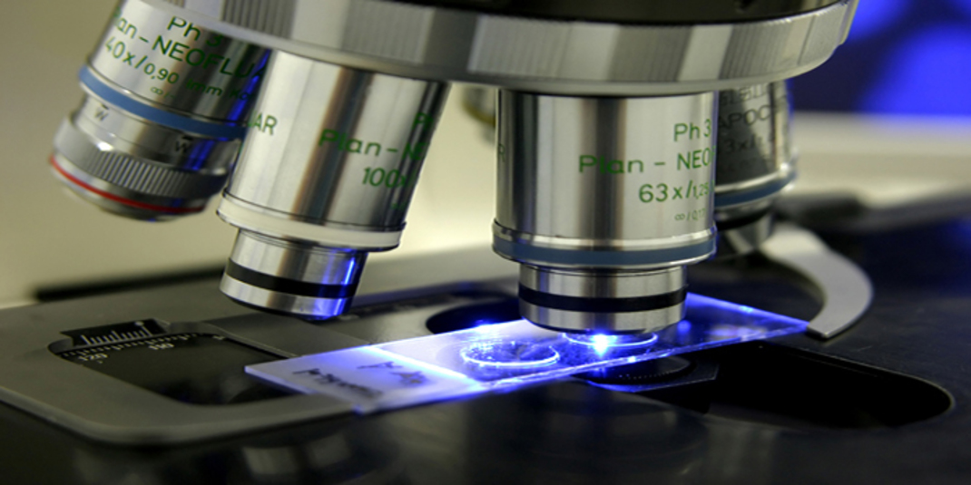 2015 cancer biology summer course | Croucher Foundation