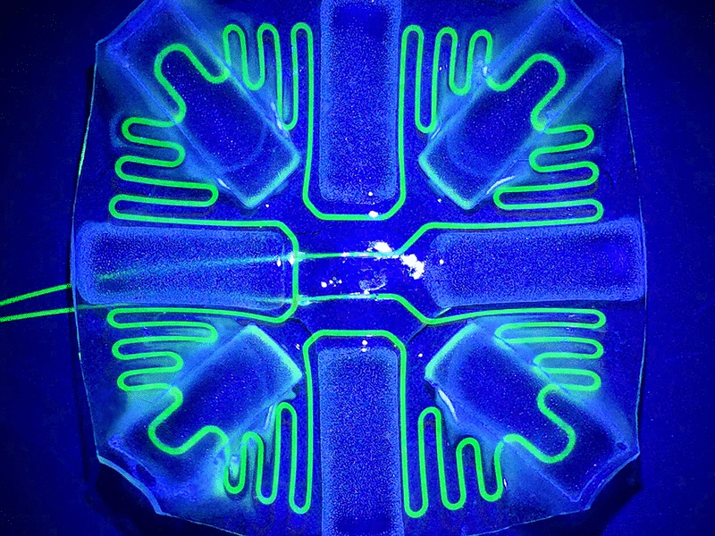 Plant-inspired origami microfluidic device | Croucher Foundation