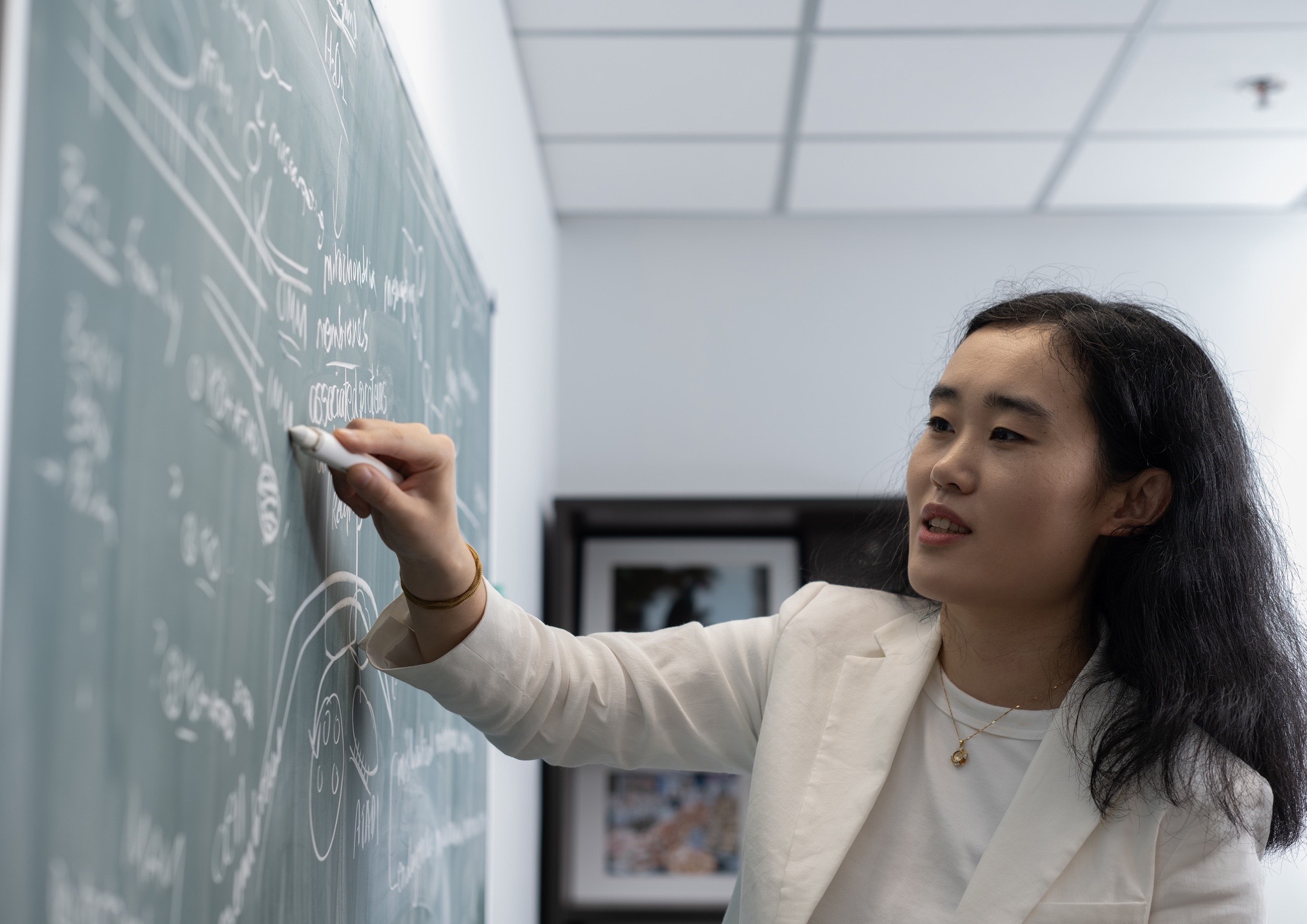 Coast to coast: Innovation Award winner, Dr Lan Wang | Croucher Foundation