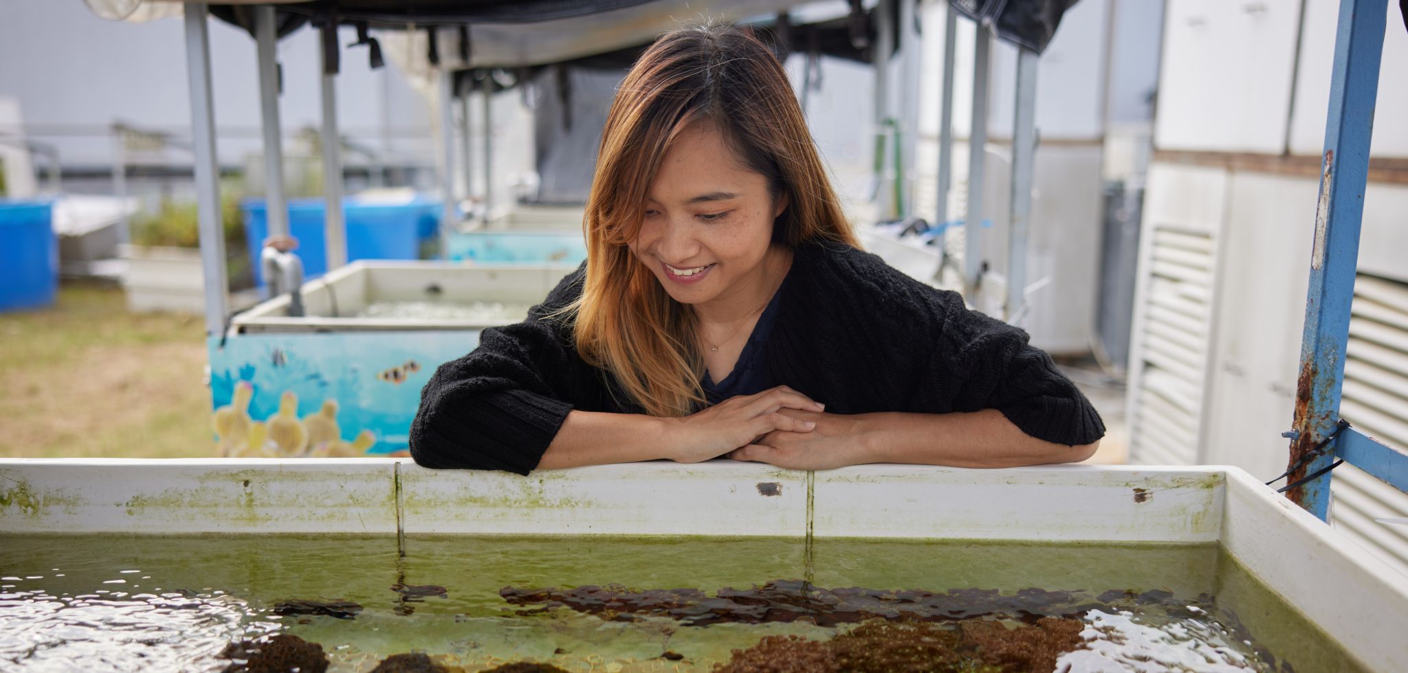 Dr Apple Chui wins Falling Walls Award 2024 | Croucher Foundation