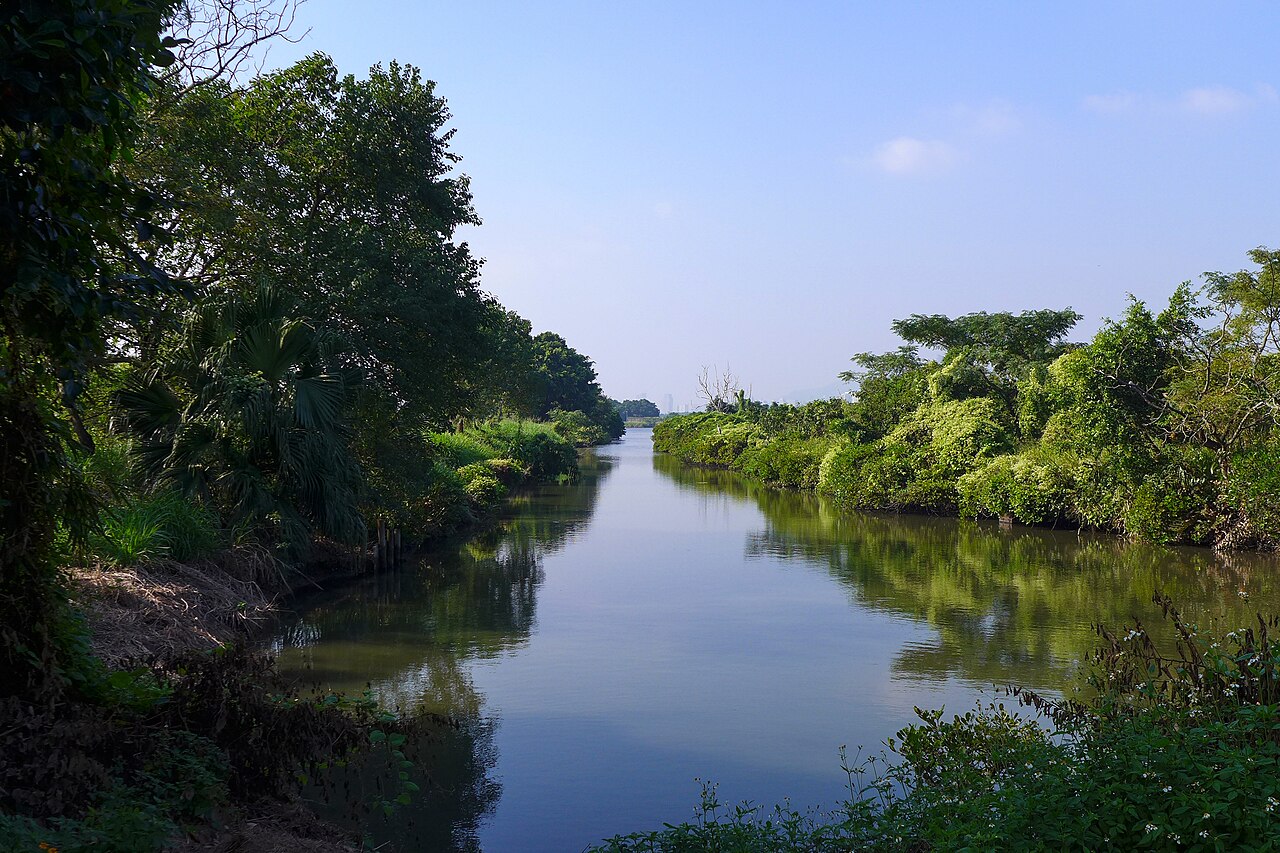New windowpane shell species discovered by Hong Kong scientists ...