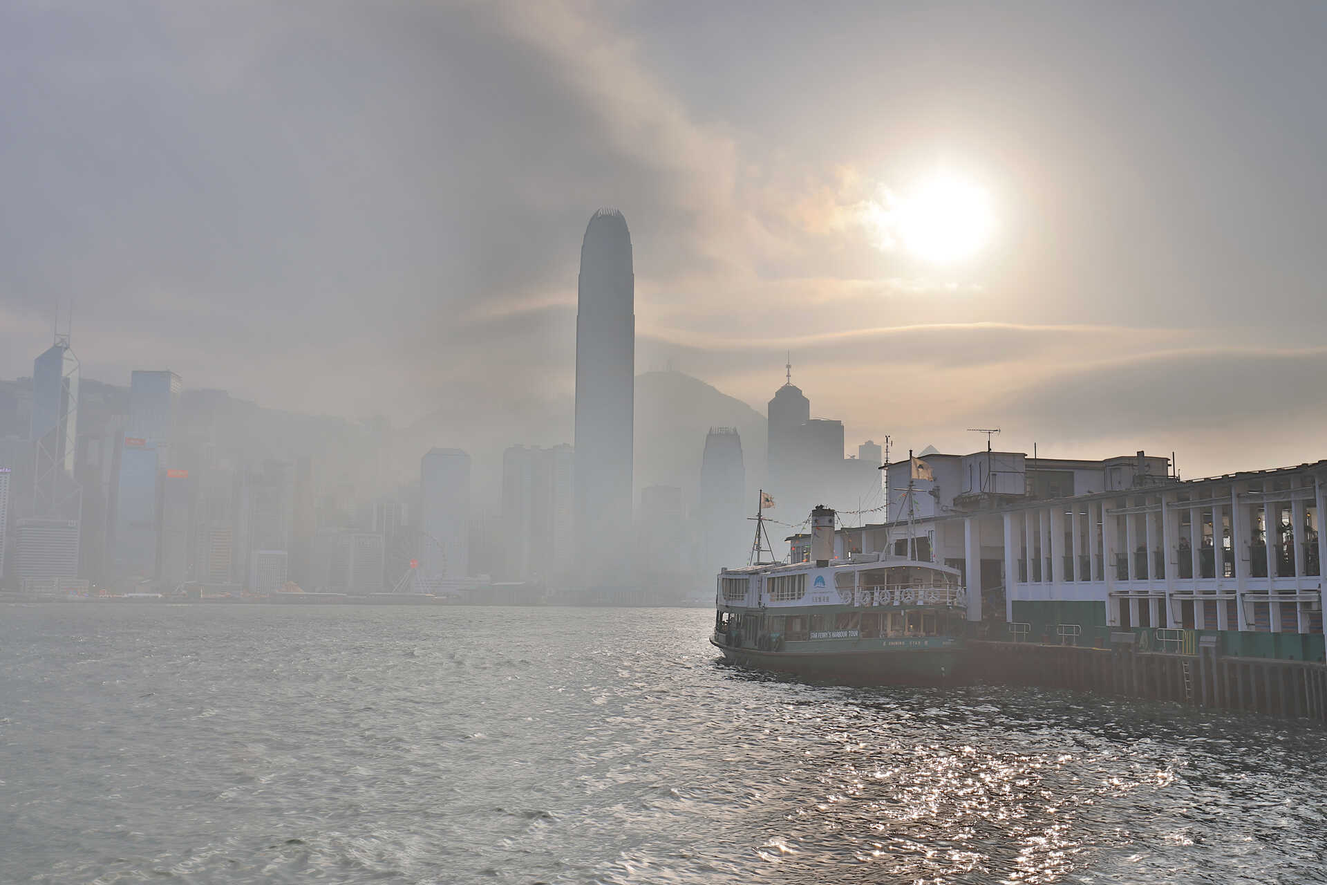 Plants and ozone pollution | Croucher Foundation