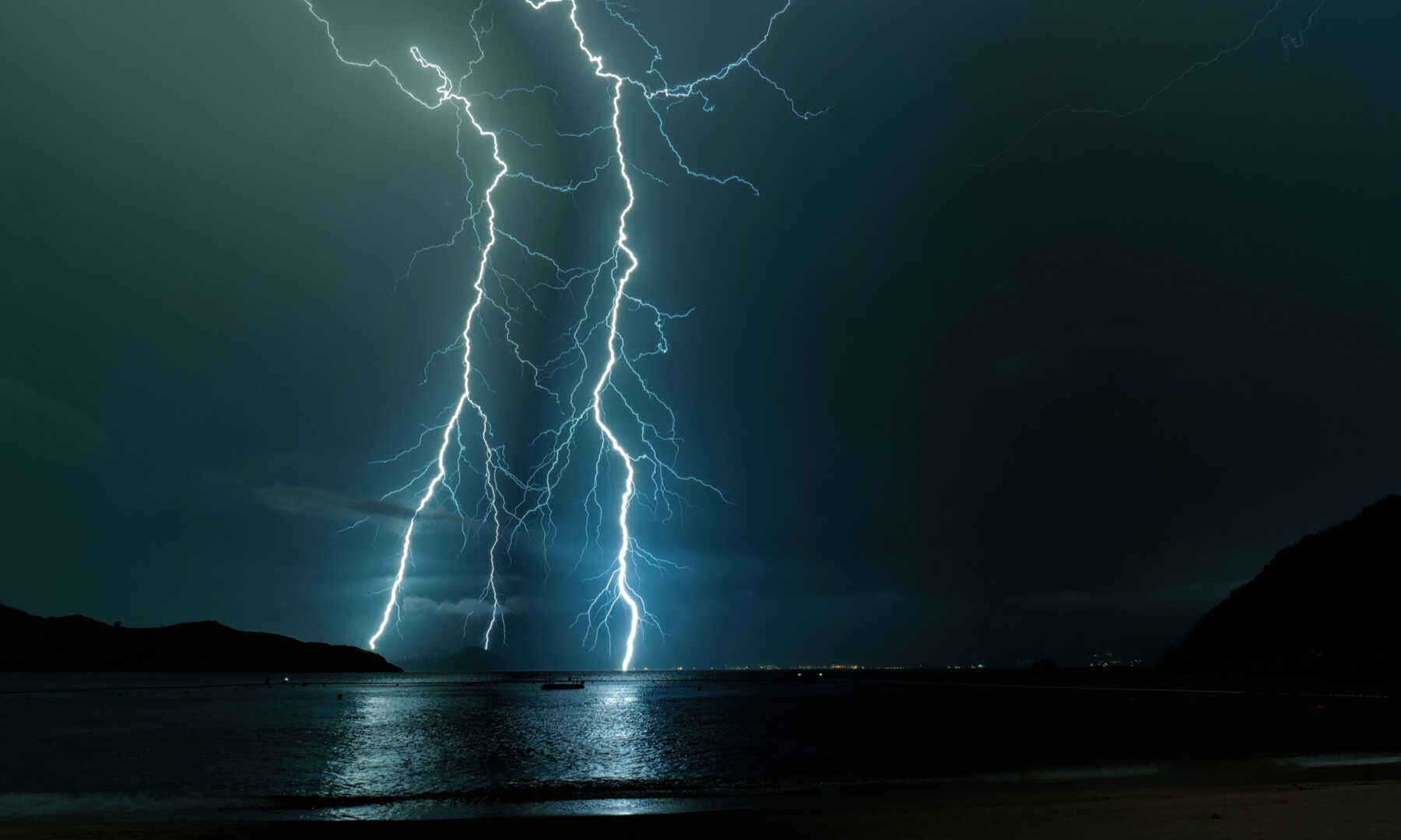 Turning up the heat on Hong Kong's biodiversity | Croucher Foundation