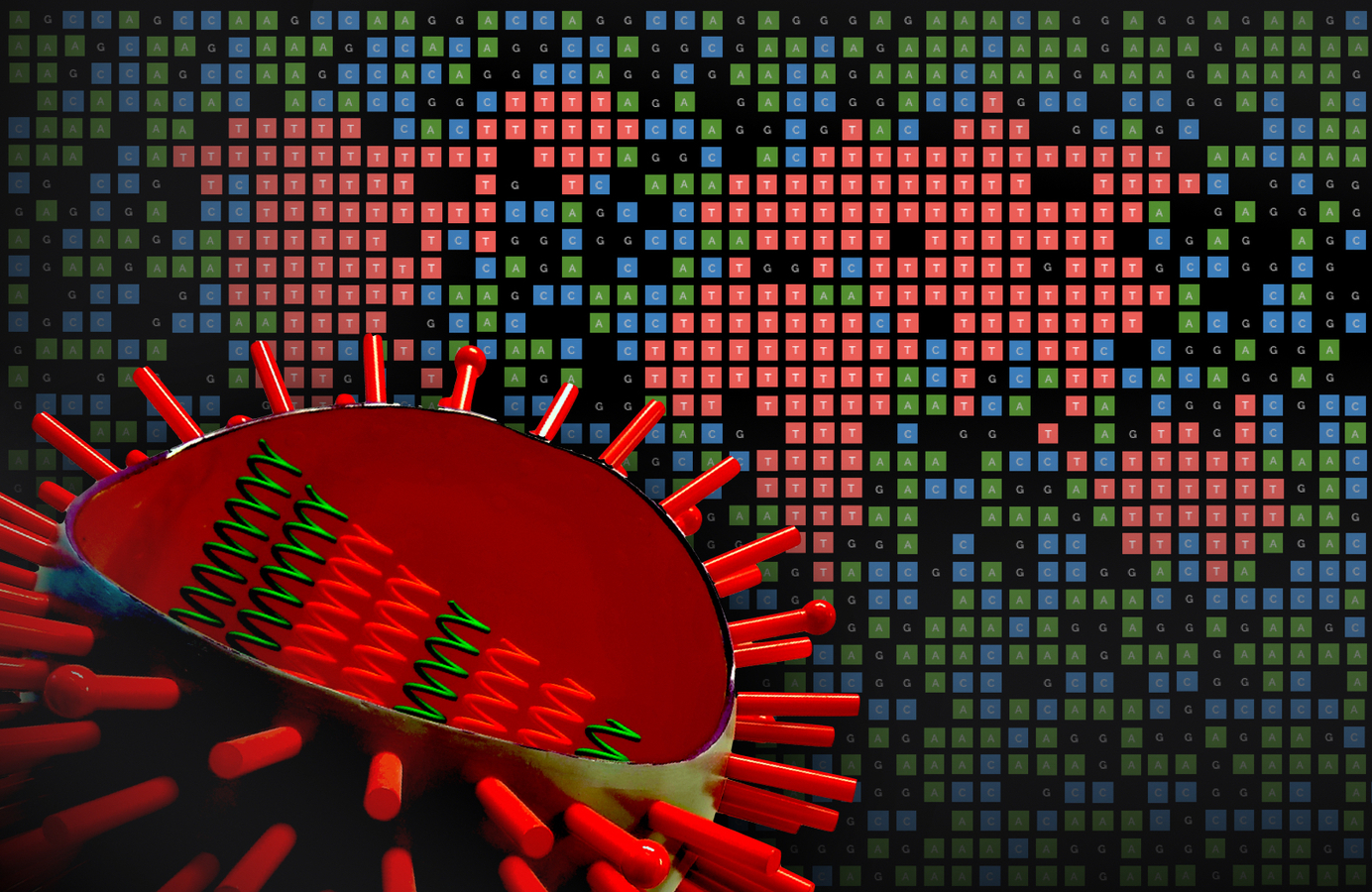 Croucher Summer Courses | Croucher Foundation