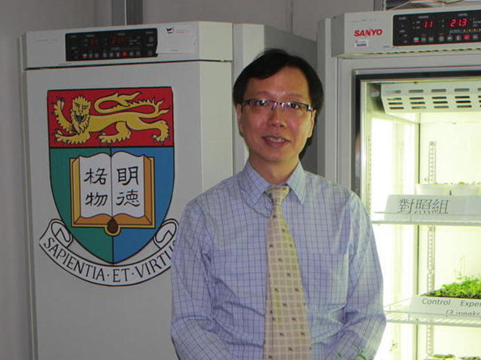 Wallace Lim | Fellows and scholars