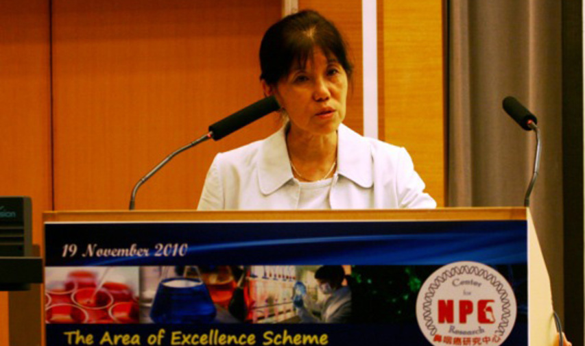 Maria Lung | Fellows and scholars