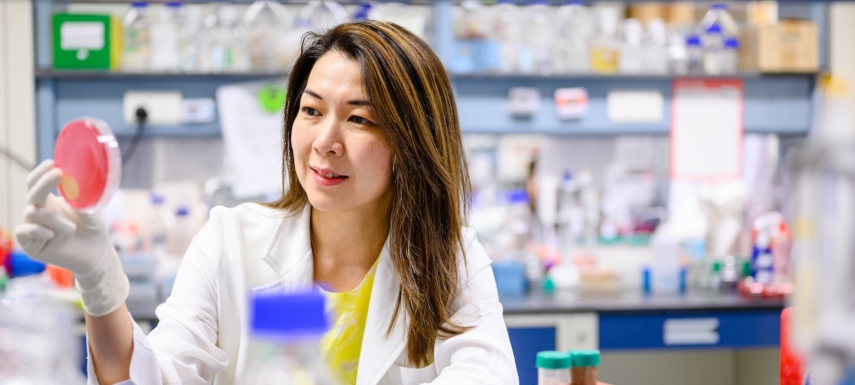 Siew Chien Ng | Fellows and scholars