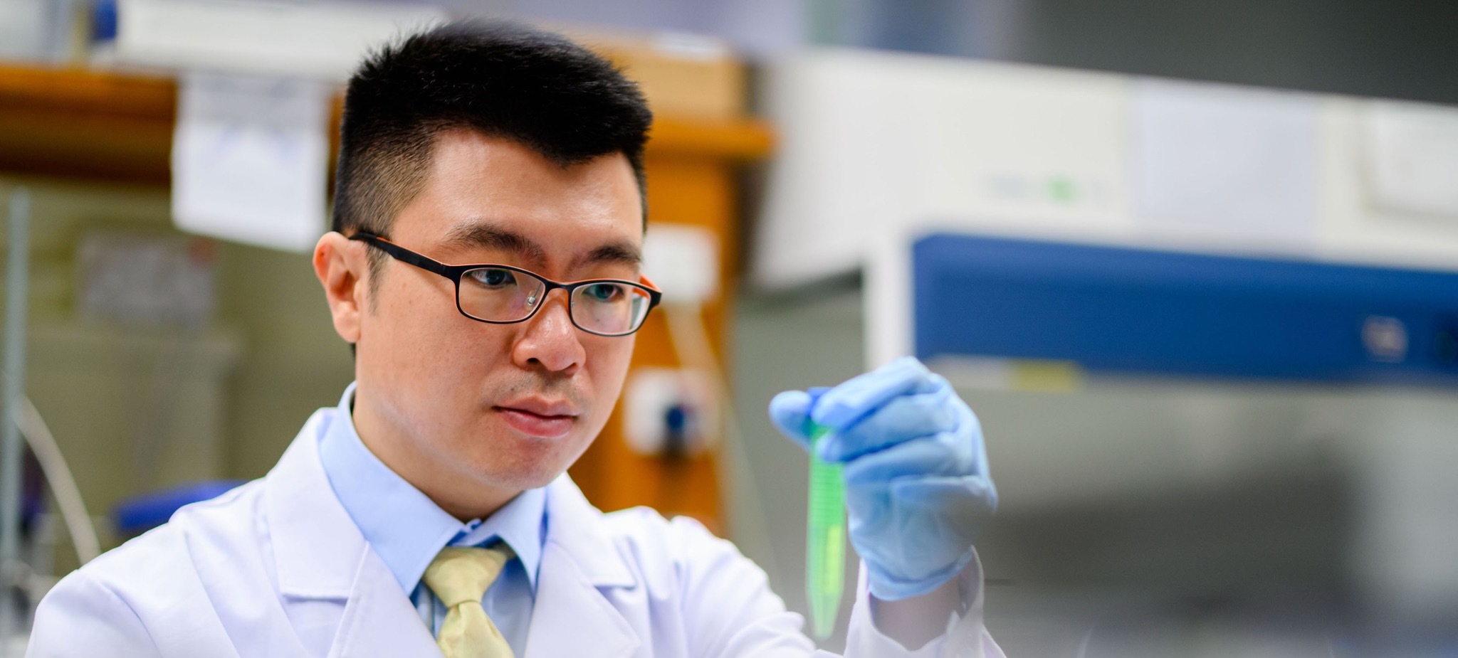 Anderson Shum | Fellows and scholars