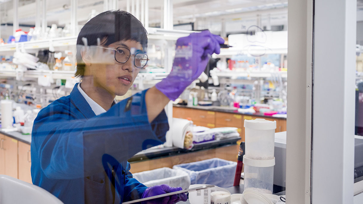 Thomas Li | Fellows and scholars