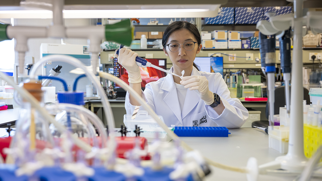 Liz Cheng | Fellows and scholars