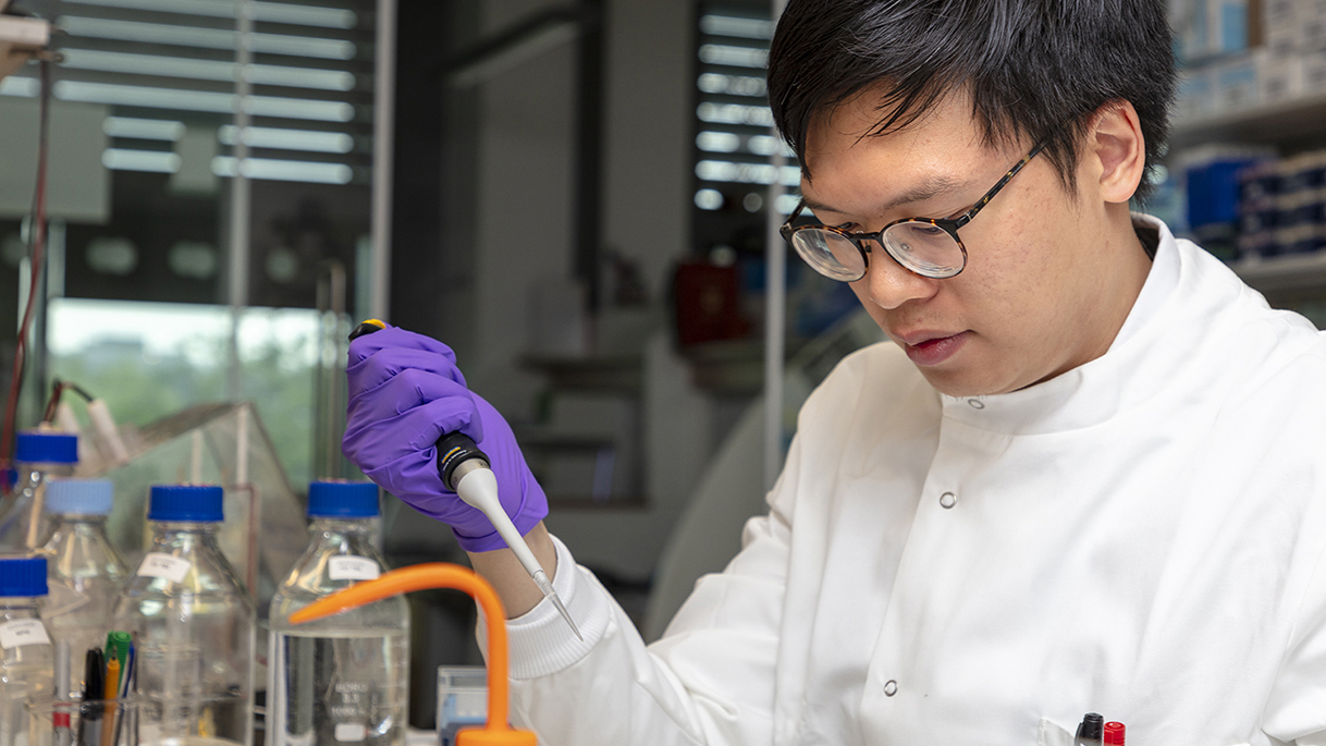 Jamie Chan | Fellows and scholars