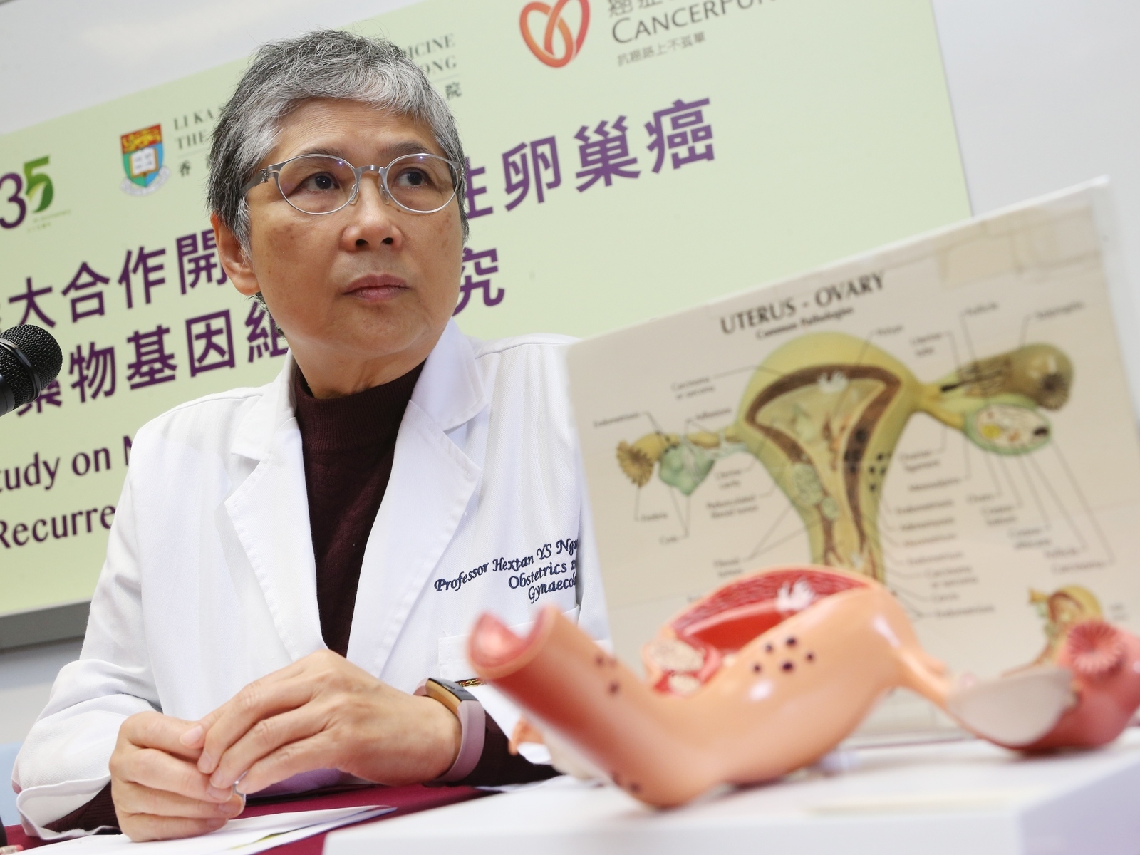 Hextan Ngan | Fellows and scholars