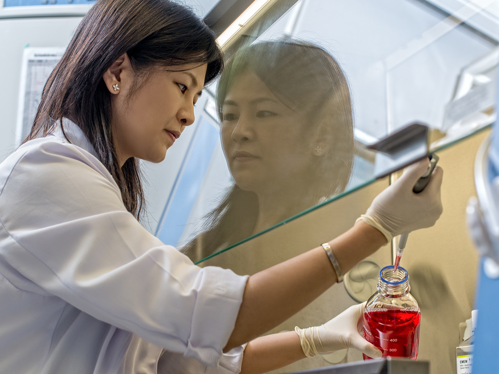 Stephanie Ma | Fellows and scholars