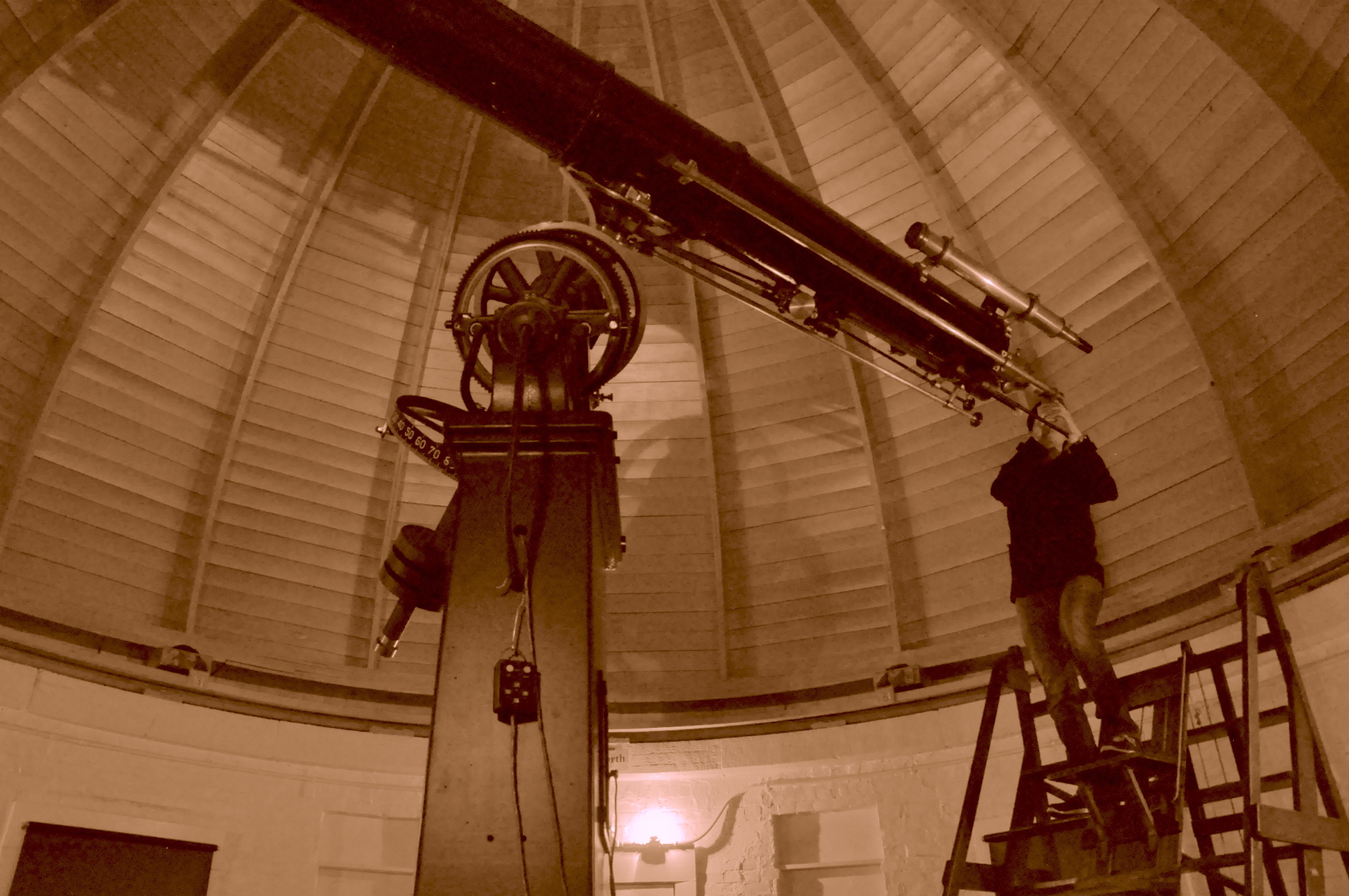 Ricky Chue | Fellows and scholars