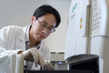 Graham Shea | Fellows and scholars