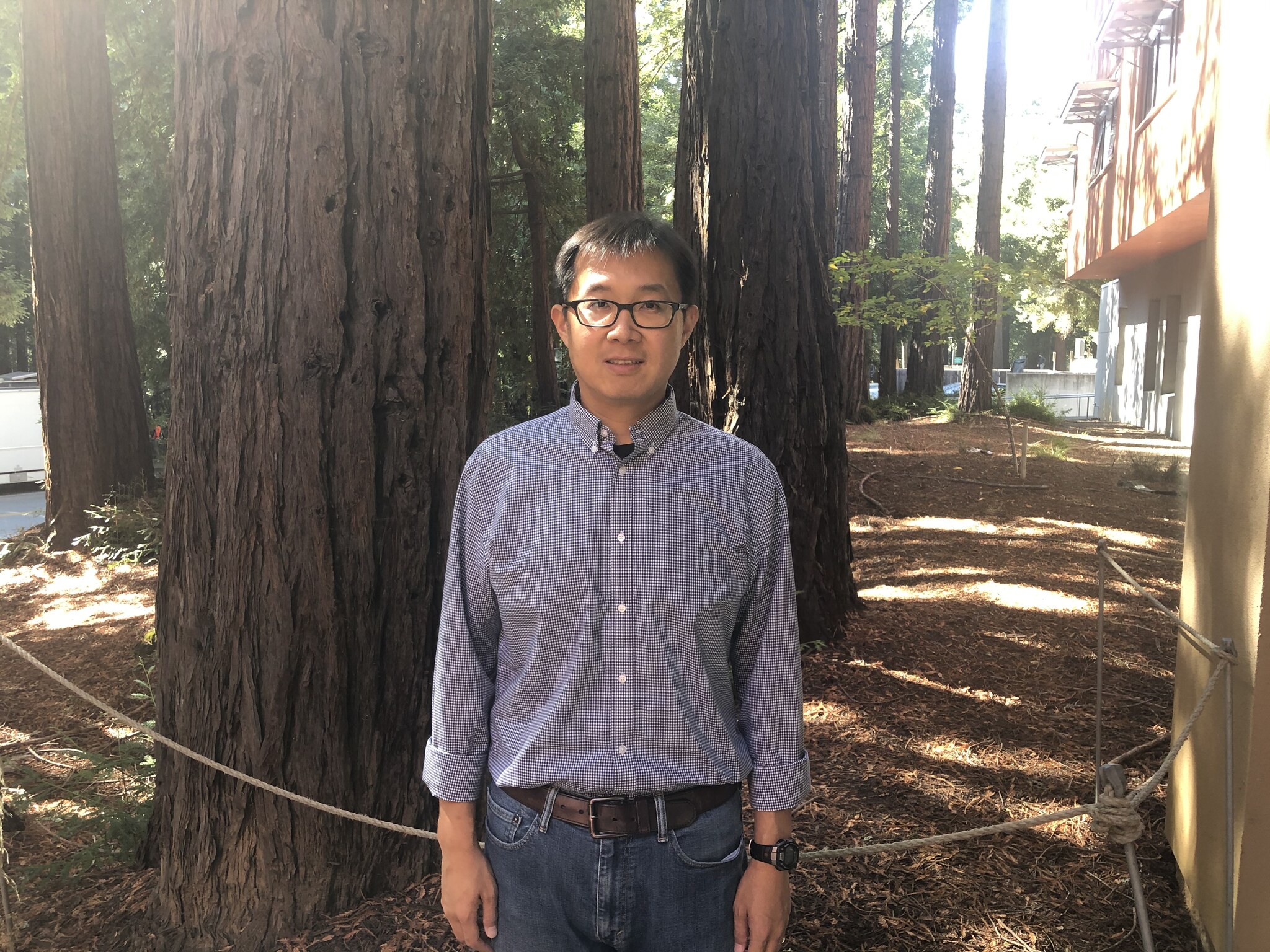 Yat Li | Fellows and scholars